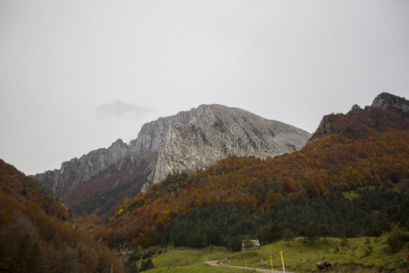 Autumn Scene in the Forests of Echo Valley, Aragon, Northern Spain ...