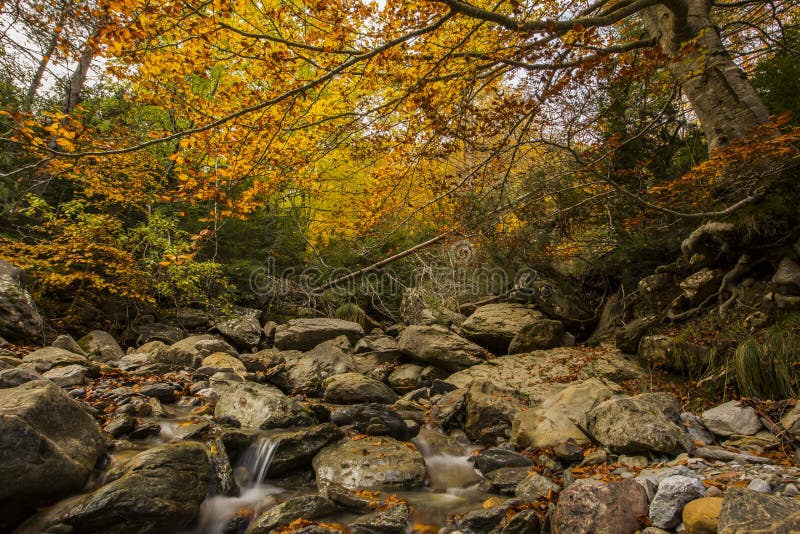 Autumn Scene in the Forests of Echo Valley, Aragon, Northern Spain ...