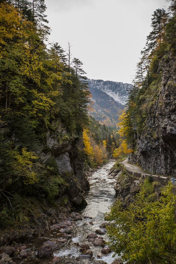 Autumn Scene in the Forests of Echo Valley, Aragon, Northern Spain ...