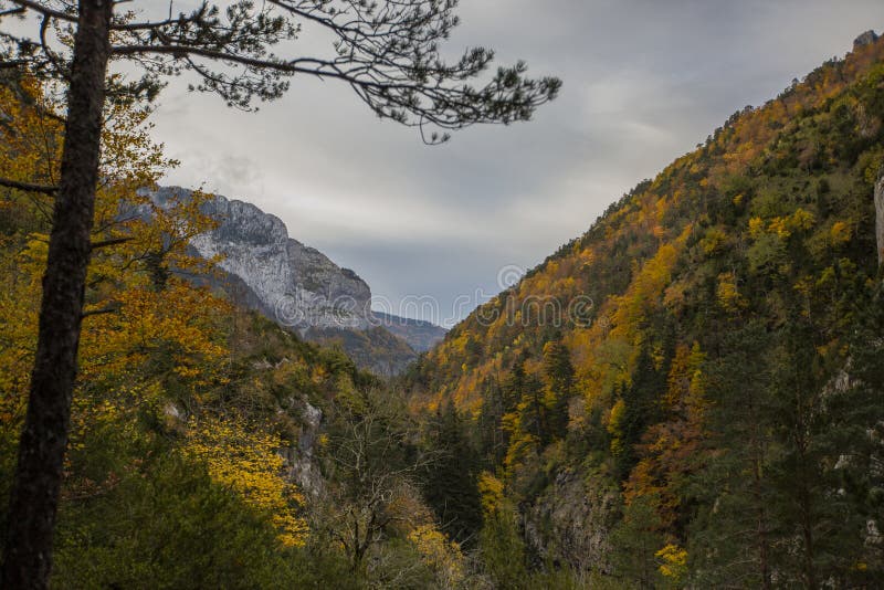 Autumn Scene in the Forests of Echo Valley, Aragon, Northern Spain ...