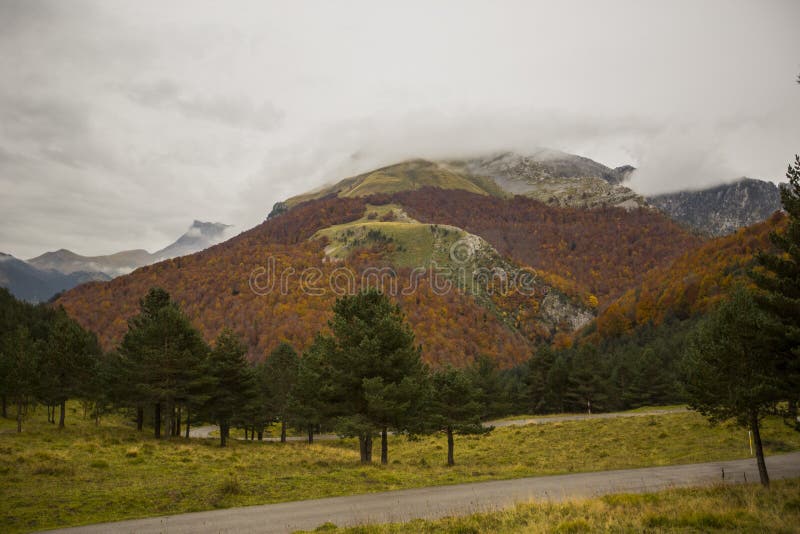 Autumn Scene in the Forests of Echo Valley, Aragon, Northern Spain ...