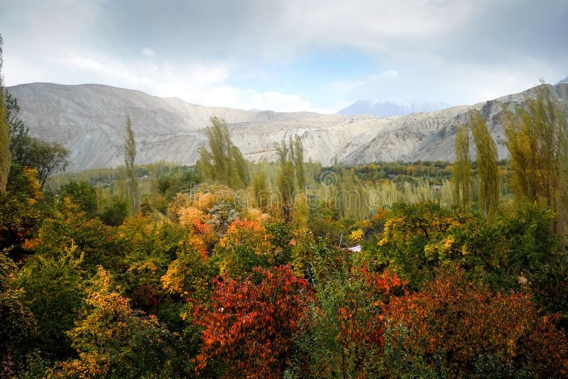 Autumn Scene in Khaplu, Pakistan. Stock Photo - Image of forest, orange ...