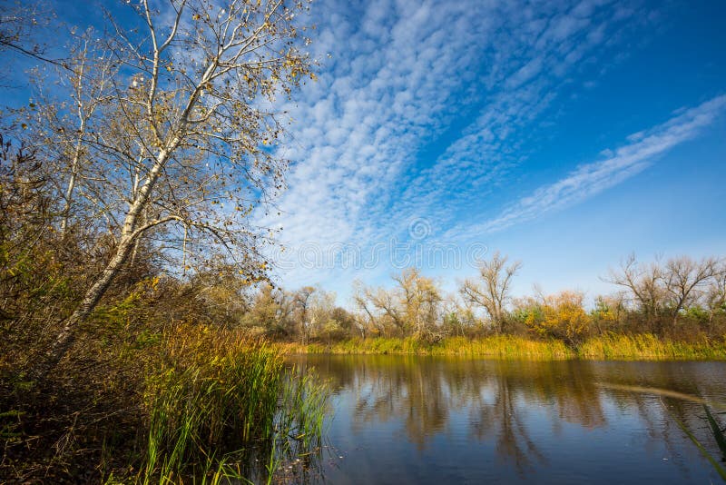 Autumn scene on lake stock image. Image of leaf, park - 161719843