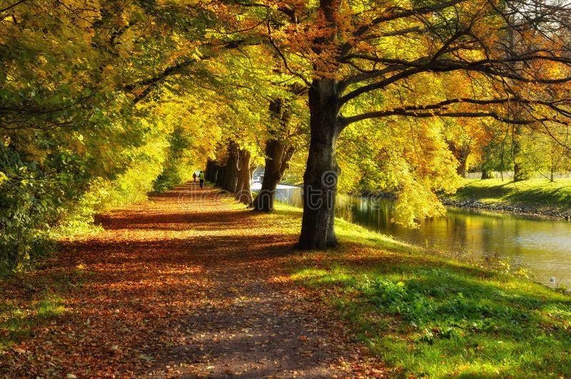 Autumn Scene Stock Photos - Image: 30965973