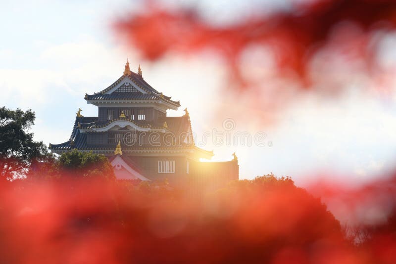 Autumn Scene with Red Fall Maple. Stock Image - Image of colorful ...