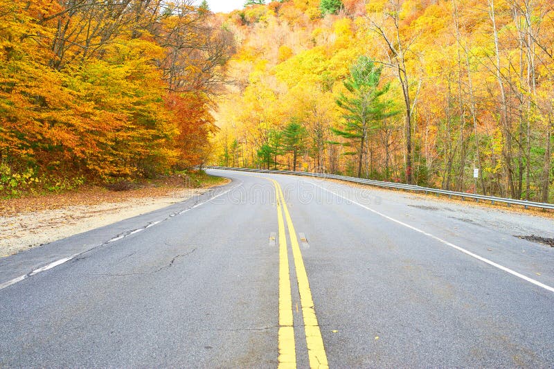 Autumn scene with road stock image. Image of curve, bends - 58210105