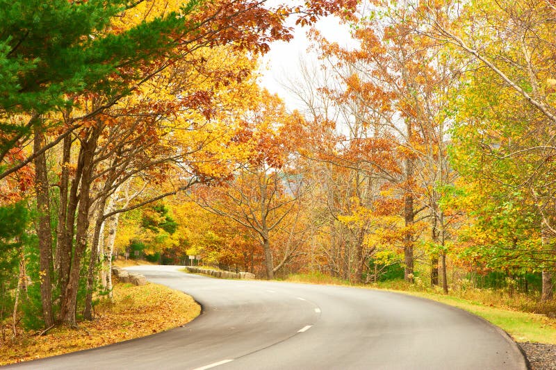 Autumn scene with road stock image. Image of scene, highway - 59142803