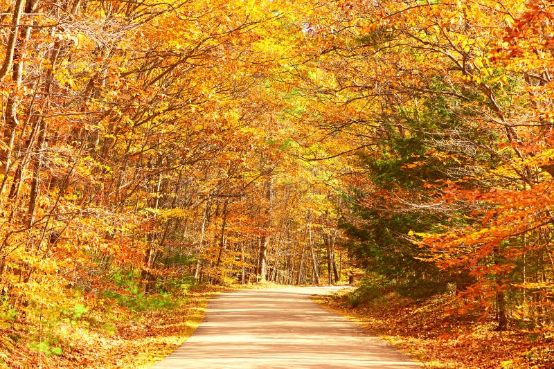 Autumn scene with road stock photo. Image of speed, kancamagus - 59142832