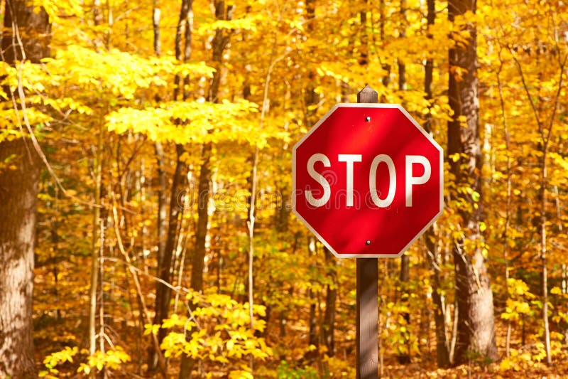 Autumn Scene with Road and Stop Sign Stock Image - Image of curvy, stop ...