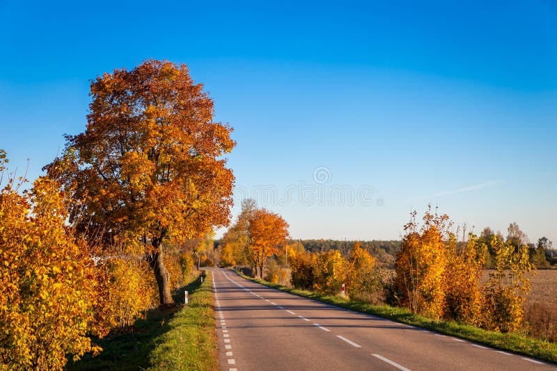 Autumn Scene with Road and Trees Stock Image - Image of leaf, outdoor ...