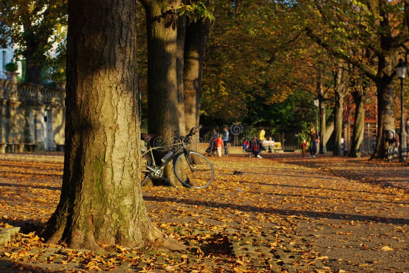 Autumn scene in town stock photo. Image of horizontal - 4095792