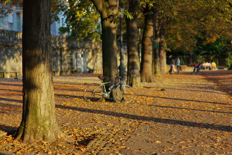 Autumn scene in town stock photo. Image of sunlight, evening - 4095804
