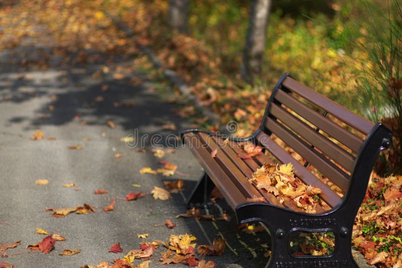 Autumn scene in town stock image. Image of autumn, highlighted - 6982675