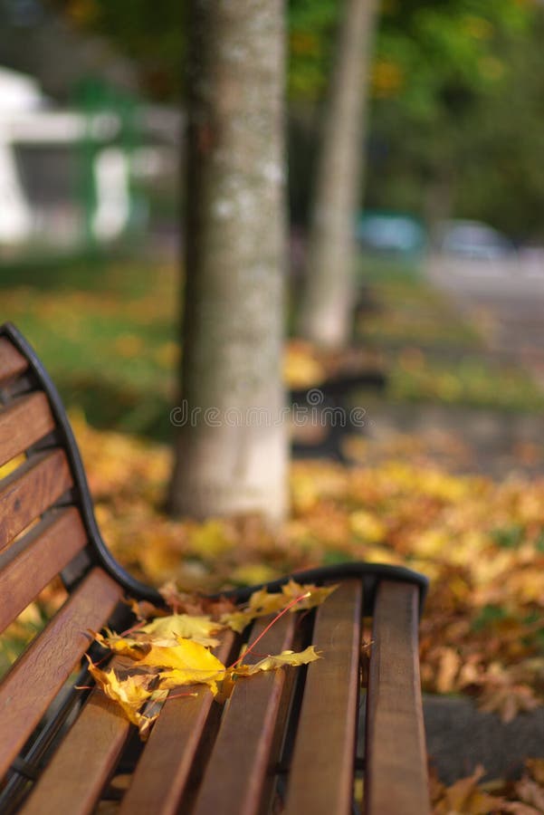 Autumn scene in town stock image. Image of highlighted - 6982685
