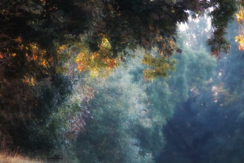 Autumn Scene of Trees and Sunlight Stock Image - Image of bright ...