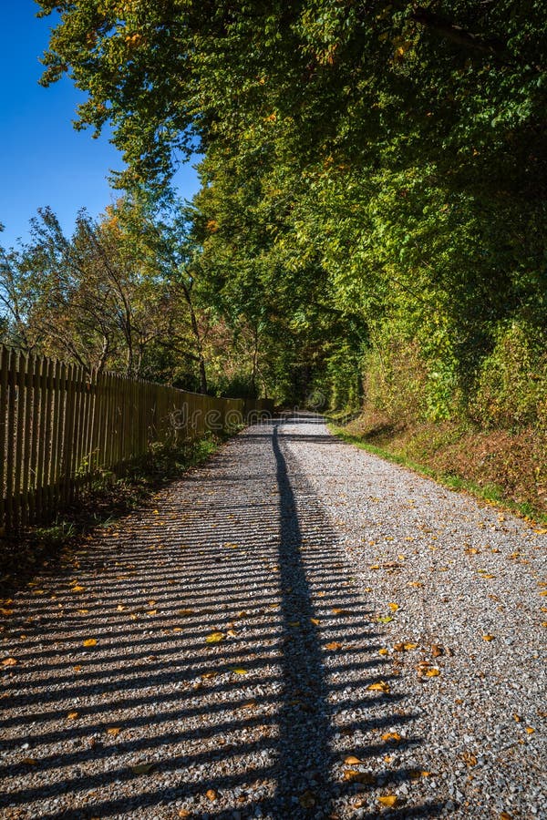 Autumn Scene - Walking Path Stock Image - Image of summer, walking ...