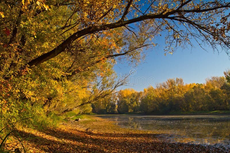 Autumn scenery stock image. Image of lake, park, original - 27388009