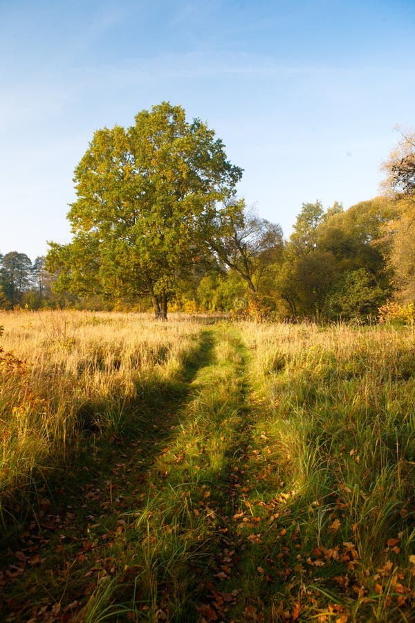 Scenery Free Stock Photos & Pictures, Scenery Royalty-Free and Public ...