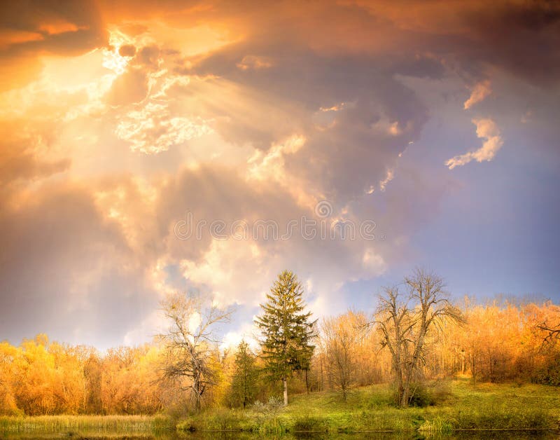 Autumn Scenery. Beautiful Gold Fall in Beautiful Wood Stock Photo ...