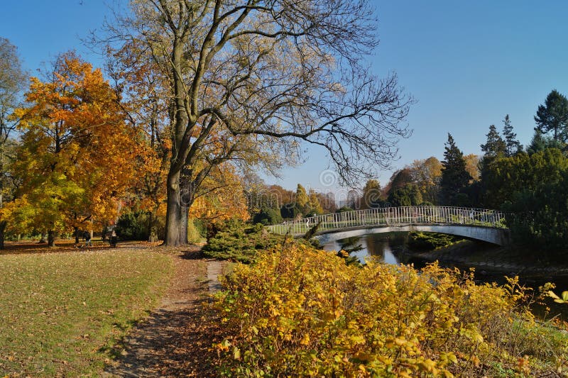 Autumn Scenery - Bridge in the Park Stock Image - Image of october ...