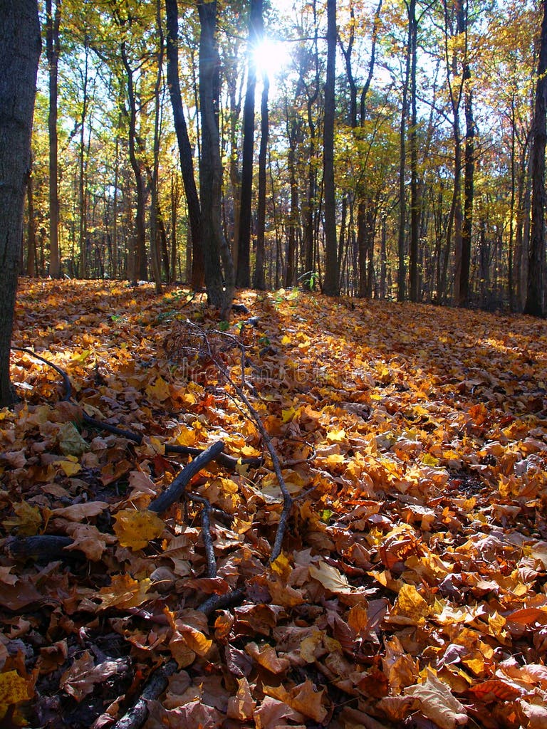 8,630 Midwest Scenery Stock Photos - Free & Royalty-Free Stock Photos ...