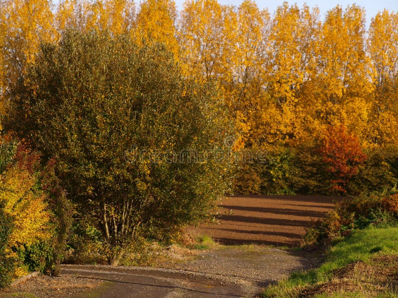 Autumn Scenery on Countryside Stock Photo - Image of path, country ...