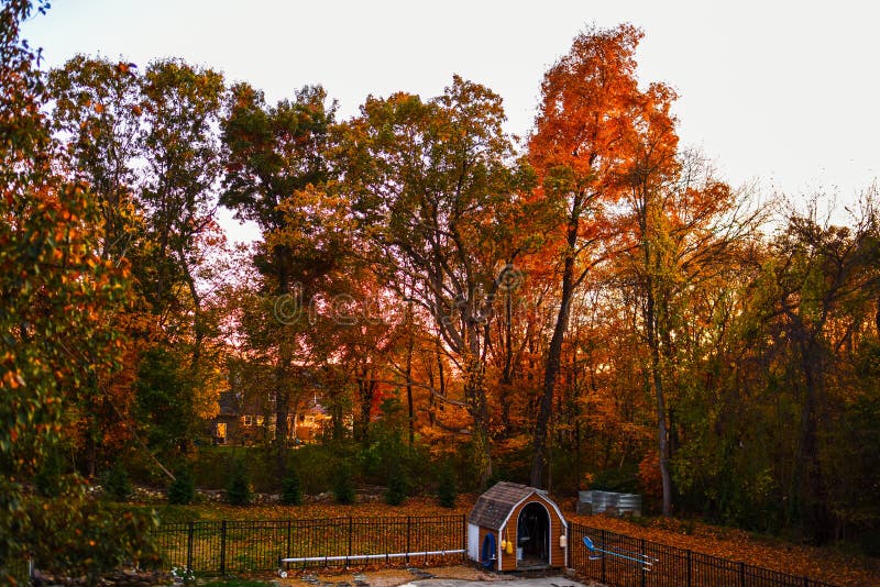 North American Autumn Colors. Stock Photo - Image of colors, snow ...