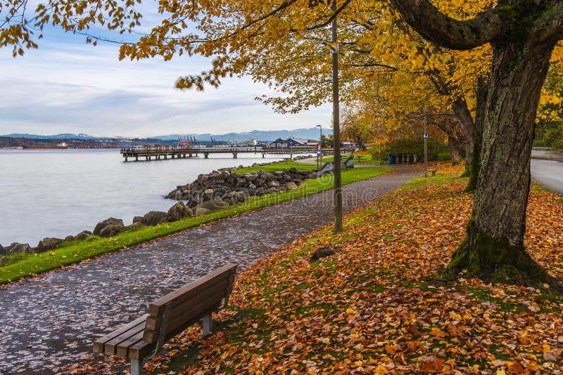 Autumn Scenery in Tacoma with Maple Trees and Maple Leaves. Stock Photo ...