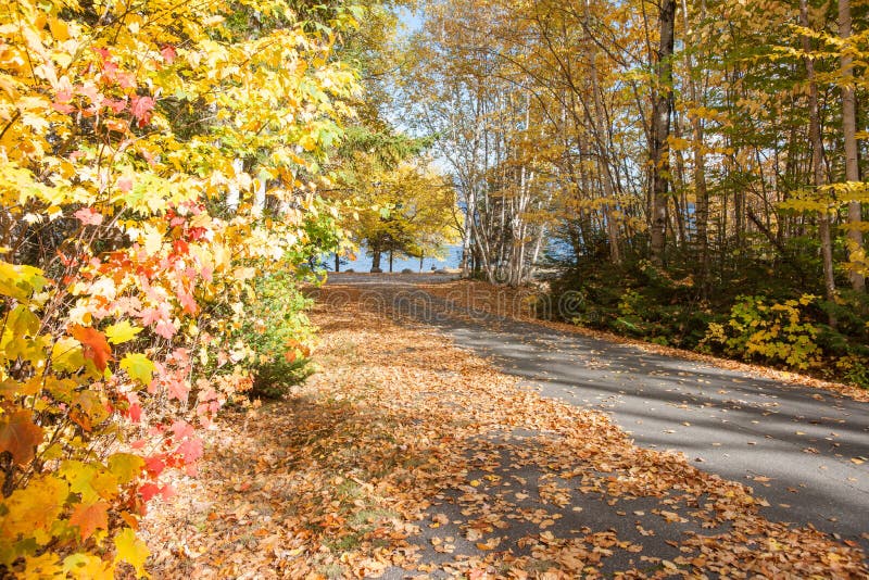 Autumn scenic drive. stock photo. Image of water, people - 48208414