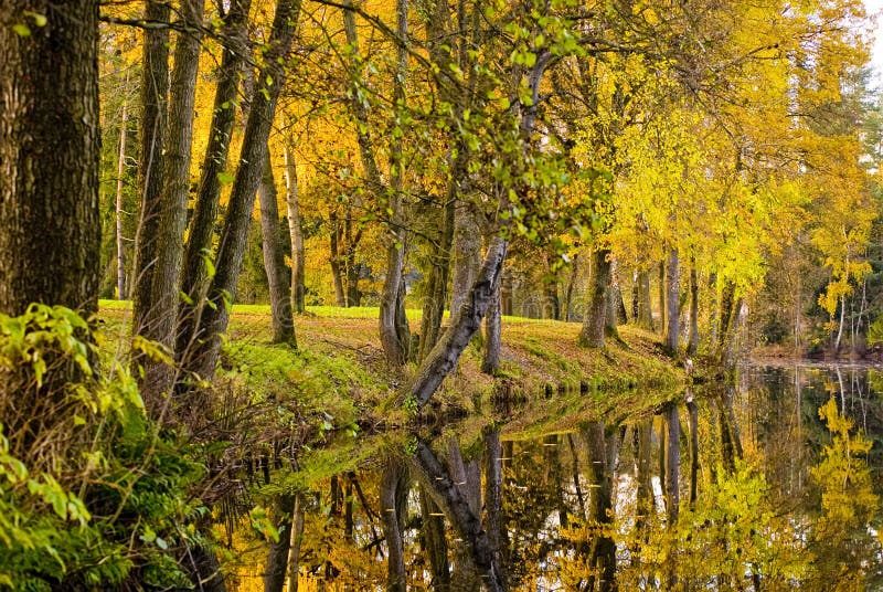 Autumn Sea stock image. Image of green, environment, branch - 6939879