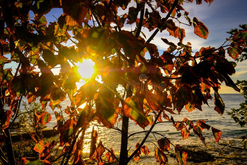 Autumn by the sea stock image. Image of light, season - 134701809