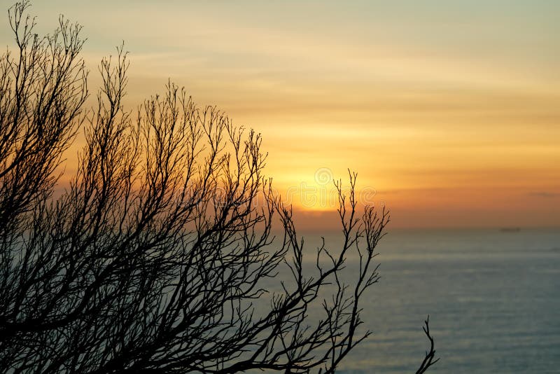 Autumn by the Sea - Tree in Front. Autumn Tree by the Sea - Sunset and ...