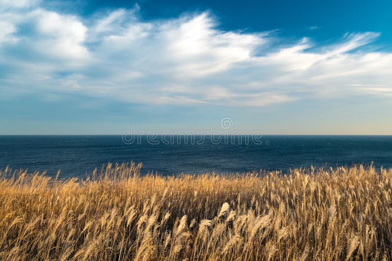 Autumn seascape at sunset stock photo. Image of scenic - 47344762