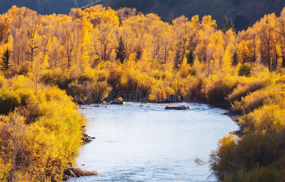 Autumn river stock image. Image of autumn, landscape - 284195815