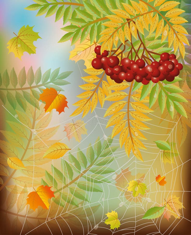 Autumn Season Card with Spiderweb Stock Vector - Illustration of border ...