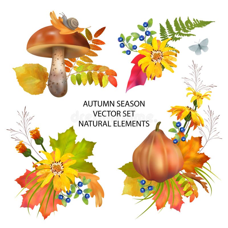 Autumn Season Collection stock vector. Illustration of nature - 99266801
