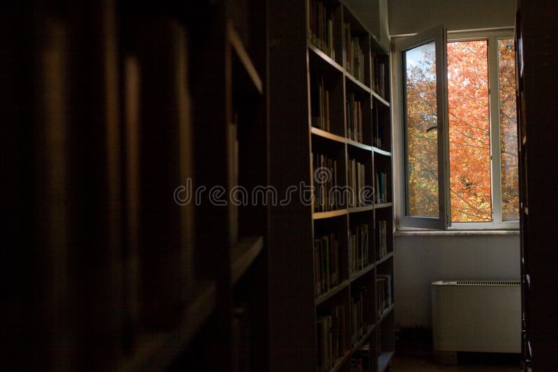 Autumn Season from the Library Window. Stock Image - Image of tree ...