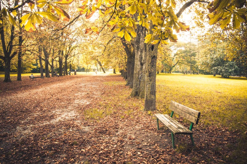 Autumn Season Park Bench in Public Park Stock Photo - Image of ...