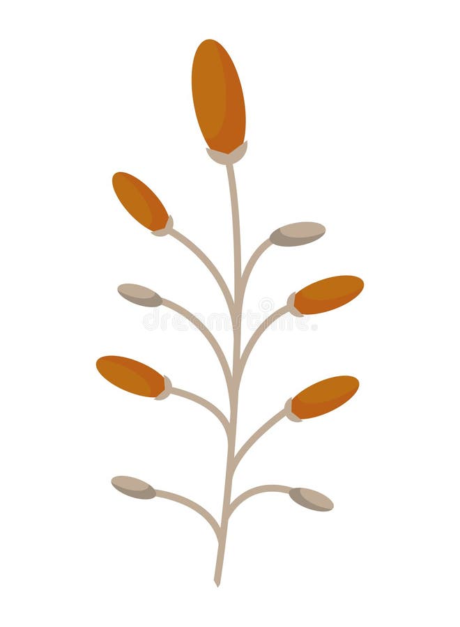 Autumn season plant stock vector. Illustration of autumn - 226117542