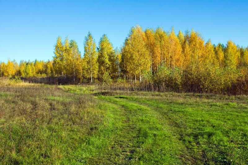 Autumn season, road in lea stock image. Image of wood - 26891375