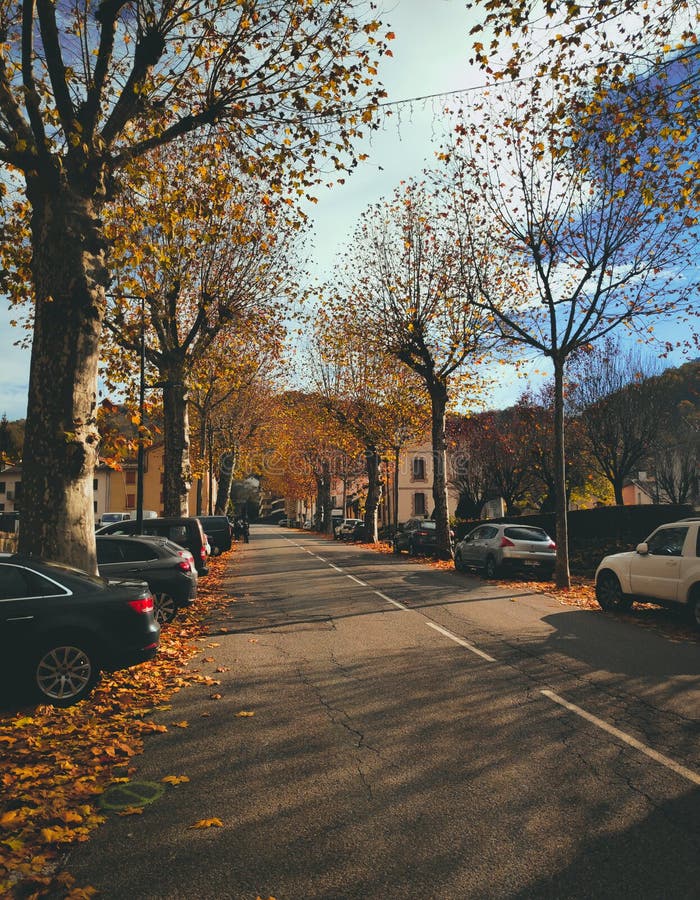 Autumn Season with Trees on Either Side of Road. Stock Photo - Image of ...