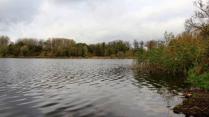 Autumn Season with View of Small Marsh Stock Photo - Image of colorful ...