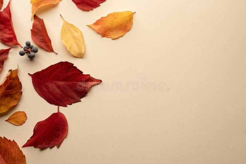 Autumn Seasonal Background with Falling Autumn Leaves. Top View and ...
