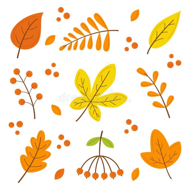 Autumn Set. Fall Elements. Vector Illustration. Autumn Leaves Stock ...