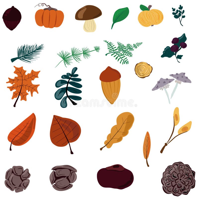 Autumn Set of Isolated Objects Leaves Harvest and Cones Stock Vector ...