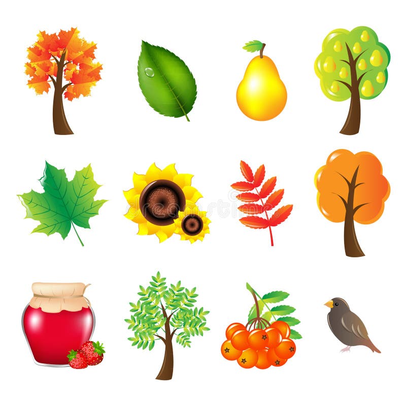Autumn Set stock vector. Illustration of vector, symbol - 195652716