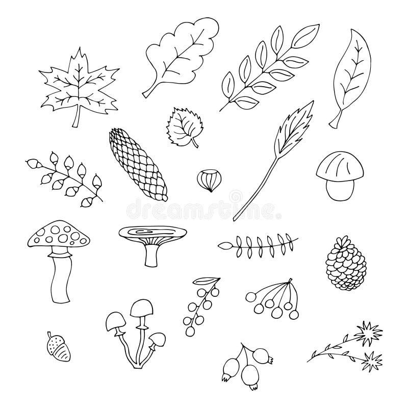 Autumn Natural Objects in Doodle Style Stock Vector - Illustration of ...