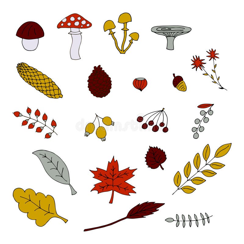 Autumn Set of Natural Objects Stock Illustration - Illustration of ...