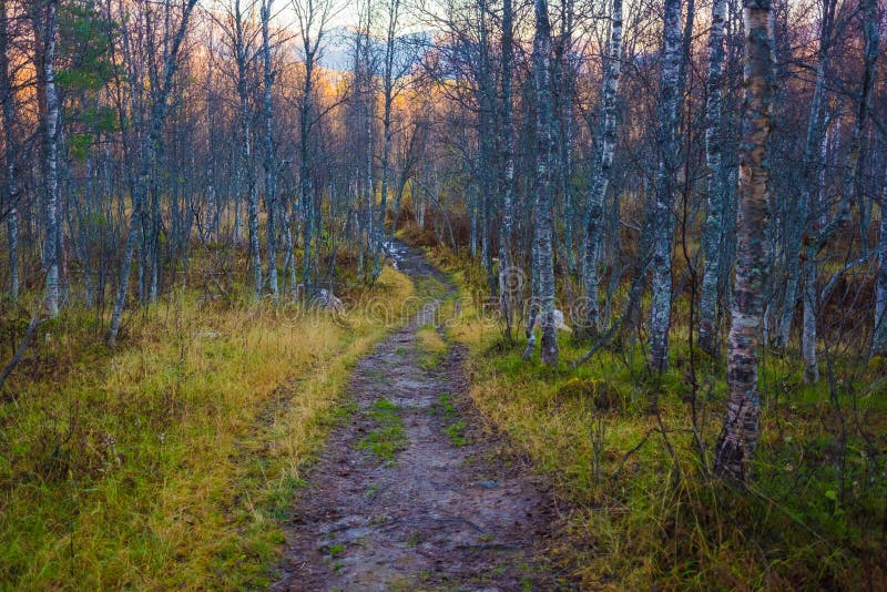 Setermoen Town Stock Photos - Free & Royalty-Free Stock Photos from ...