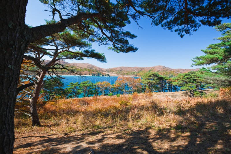 Autumn shadows stock photo. Image of reflection, leaf - 15538866